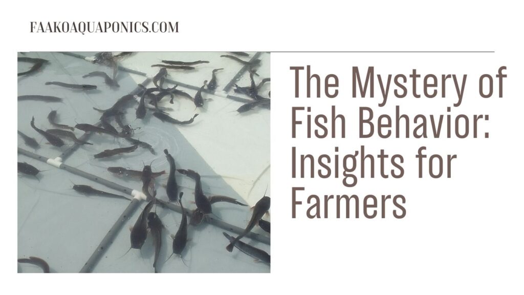 The Mystery of Fish Behavior - Grow Your Own Sea Food and Soilless Crops