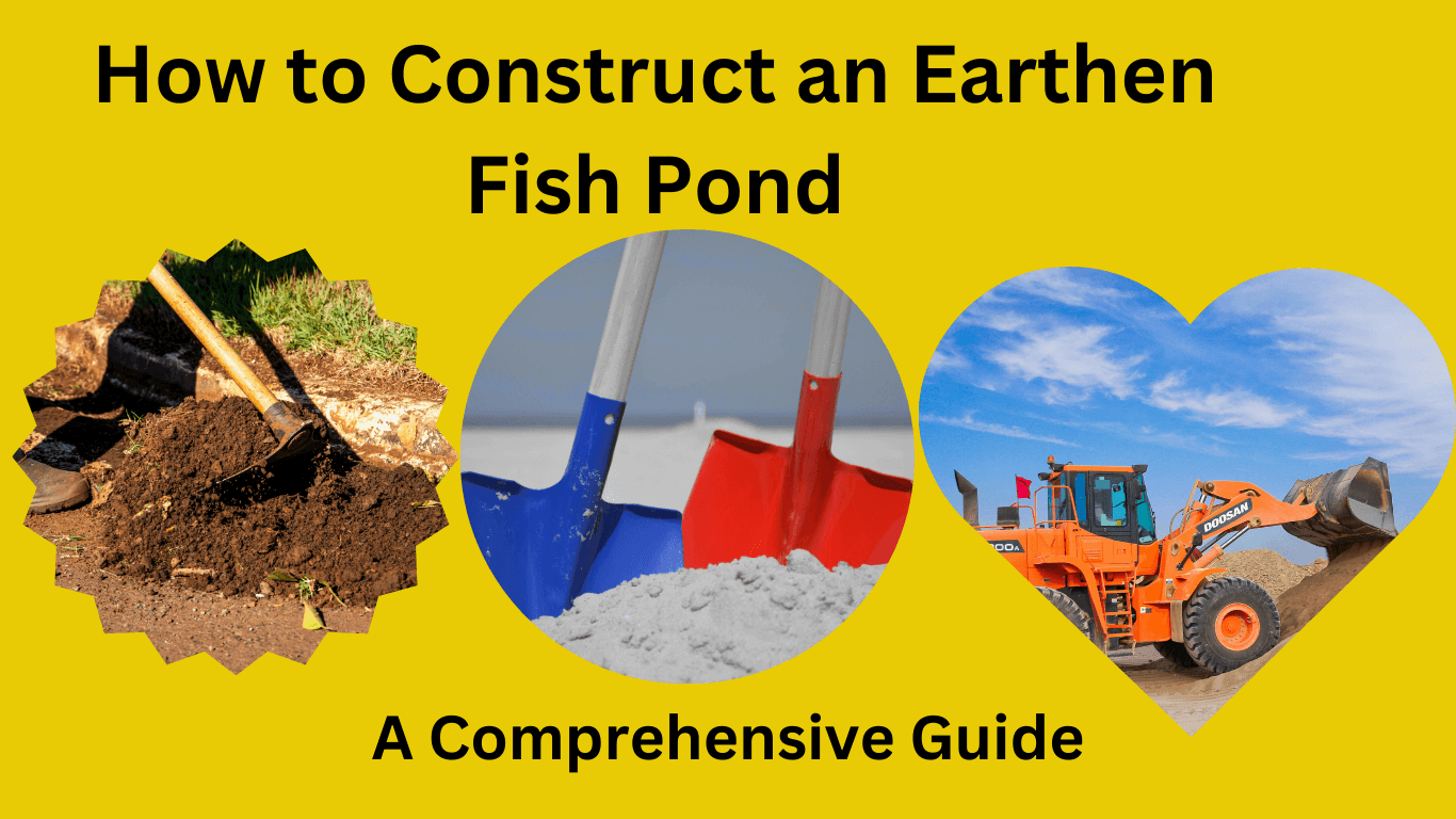 How to Construct an Earthen Fish Pond: A Comprehensive Guide